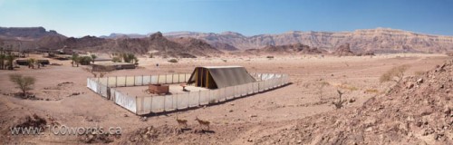 100Words.ca: A Daily Walk Through The Bible | By David Mainse